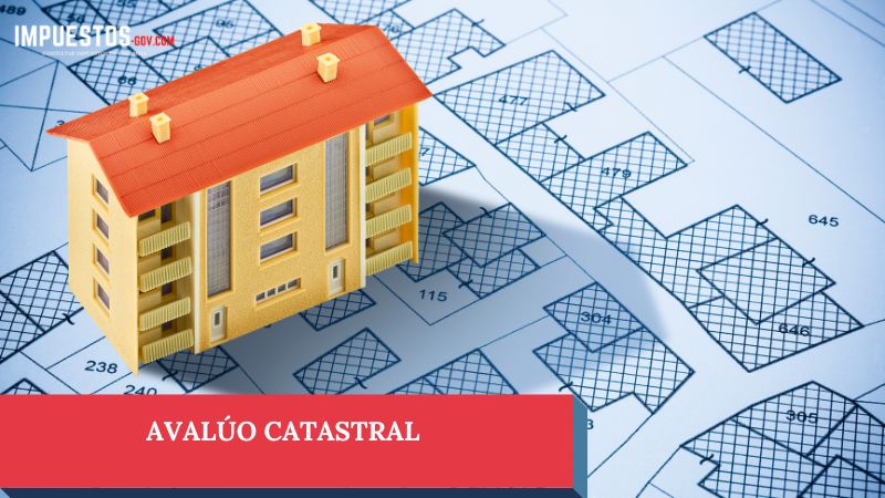 Avalúo catastral - Impuestos-Gov.com